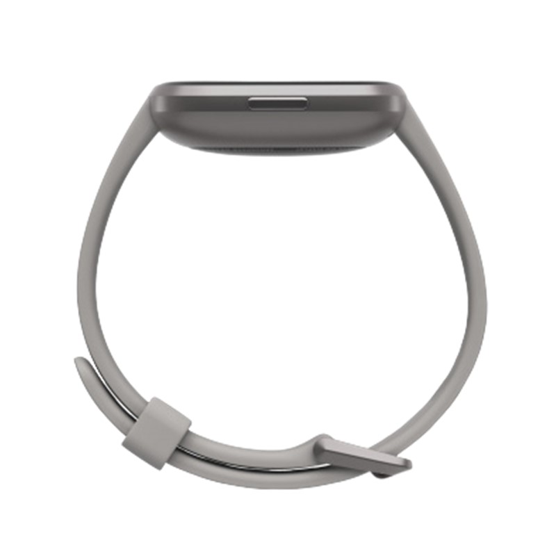 Đồng Hồ Thông Minh Fitbit Versa 2 (Stone/Mist Grey, VN) chính hãng giá tốt